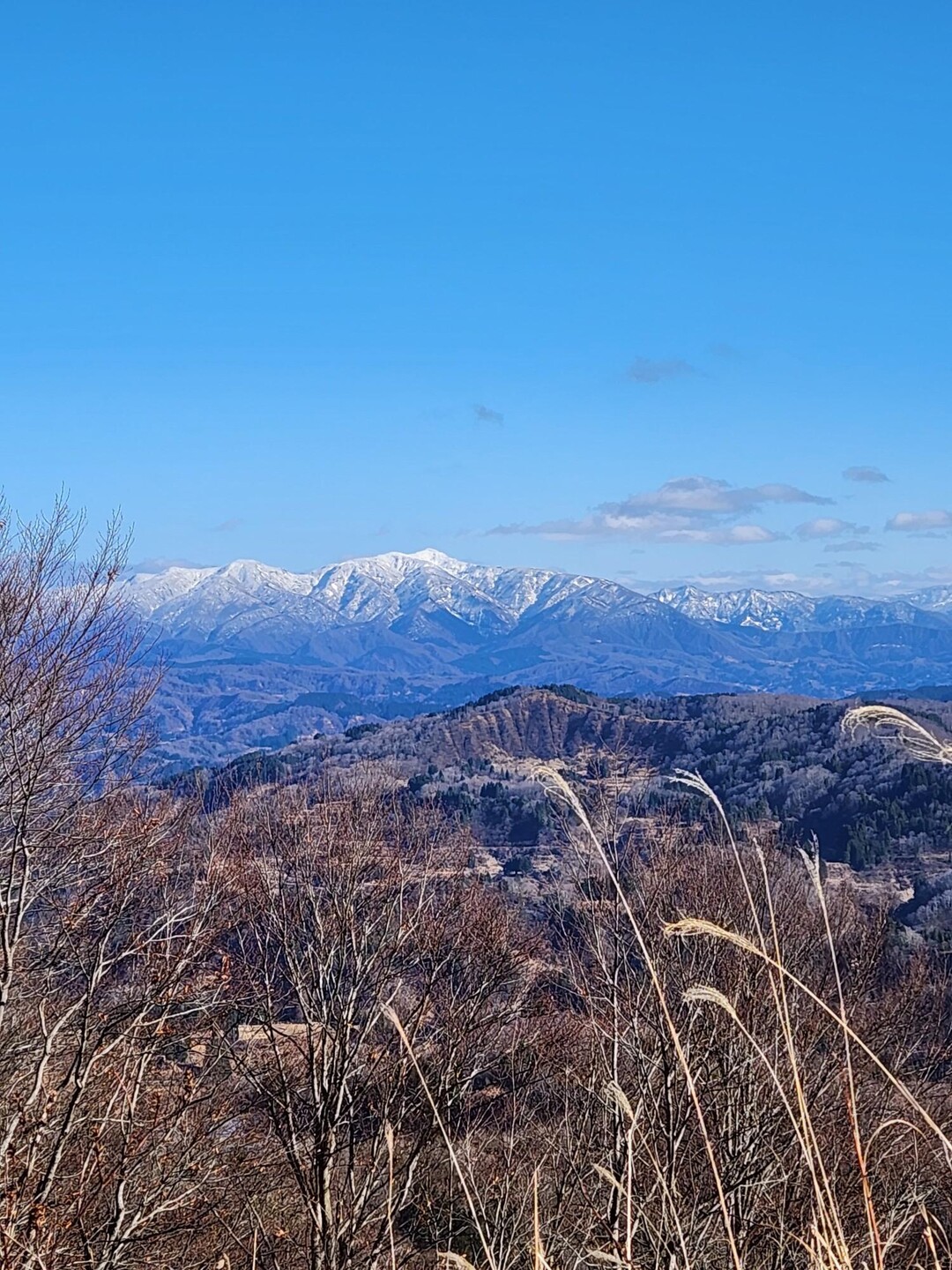 今年最後の、萱峠‼️ / kokoさんの鋸山・三ノ峠山・八方台の活動データ | YAMAP / ヤマップ