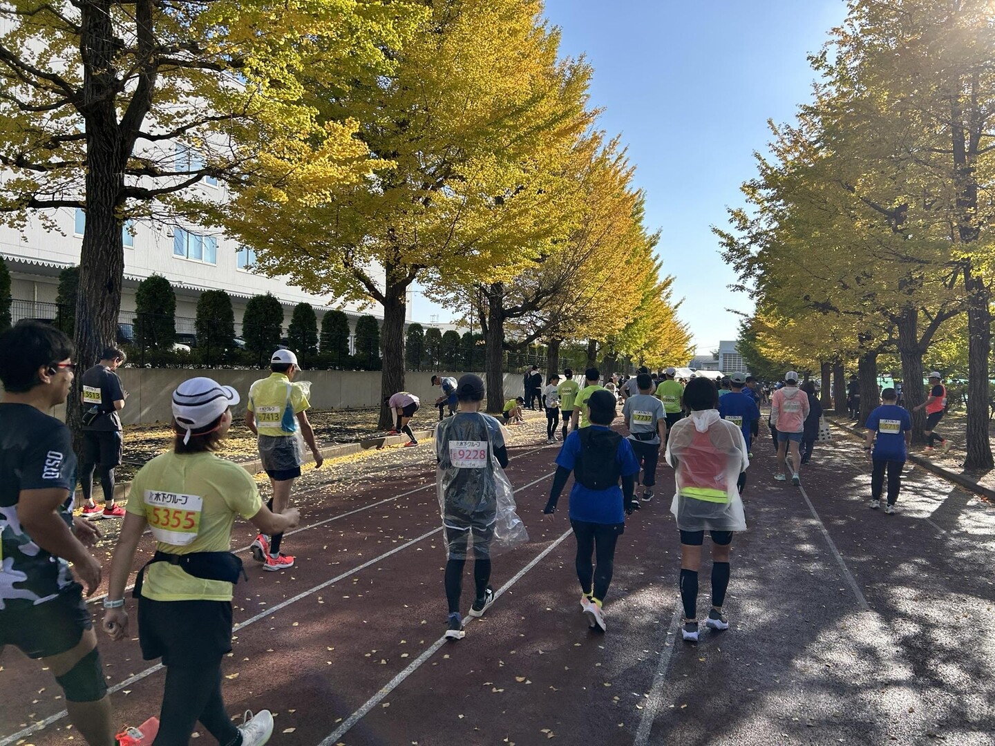 東北みやぎ復興 RUN / noriさんの船形山（御所山）・泉ヶ岳・蛇ヶ岳の活動日記 | YAMAP / ヤマップ