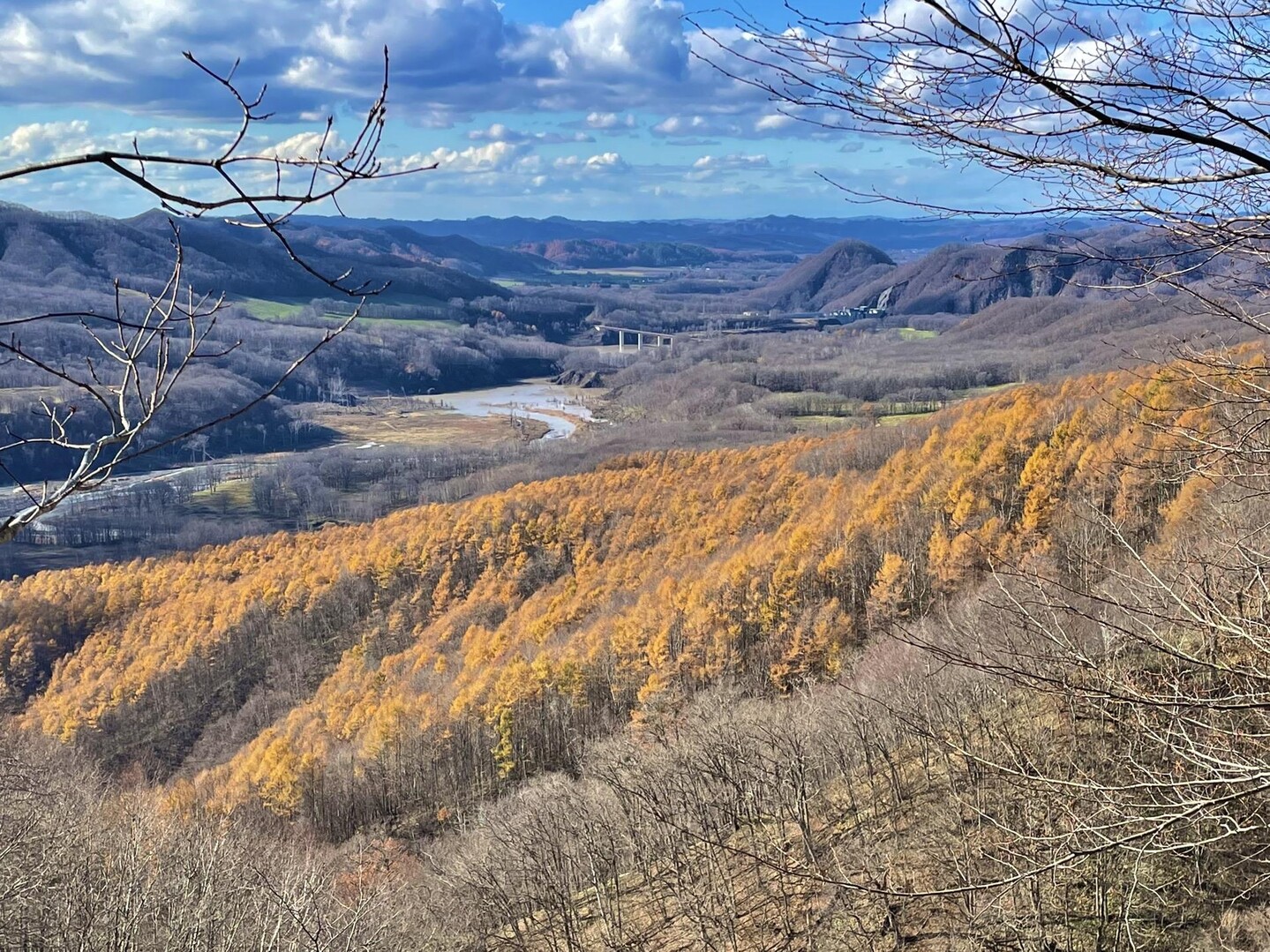 霜月の装い🍁日高低山巡り / MINTさんの平取町の活動データ | YAMAP / ヤマップ