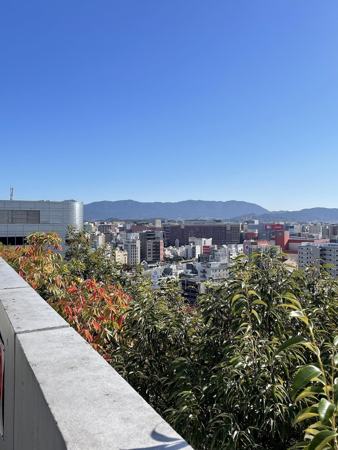 健康診断終了後、久しぶりにアクロス山に登... / とも蔵さんのモーメント | YAMAP / ヤマップ