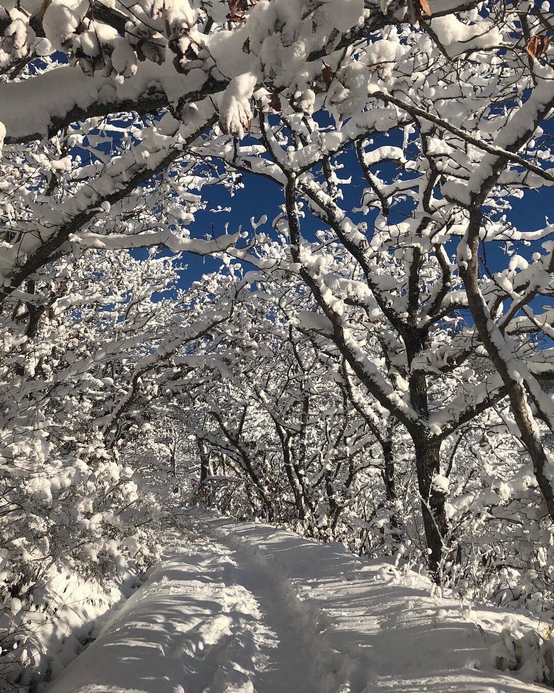 20220101函館山 動画です ht... / taka@wさんのモーメント | YAMAP / ヤマップ