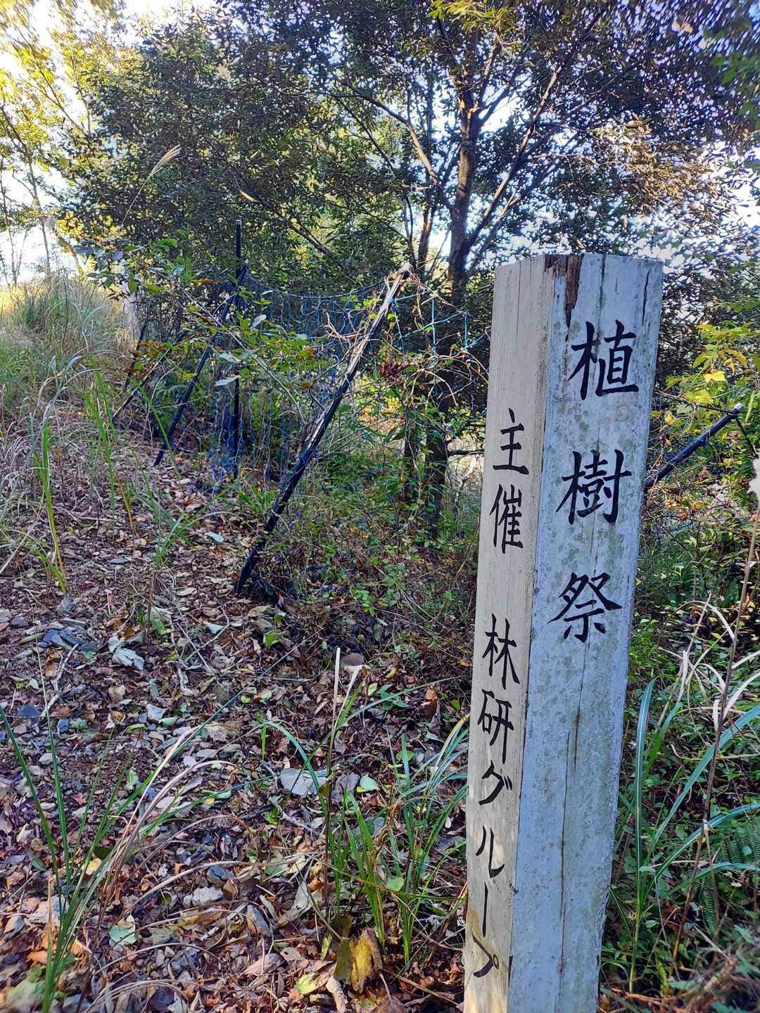 門川町 ごろ山🍀 / derainandreさんの日向市の活動データ | YAMAP / ヤマップ