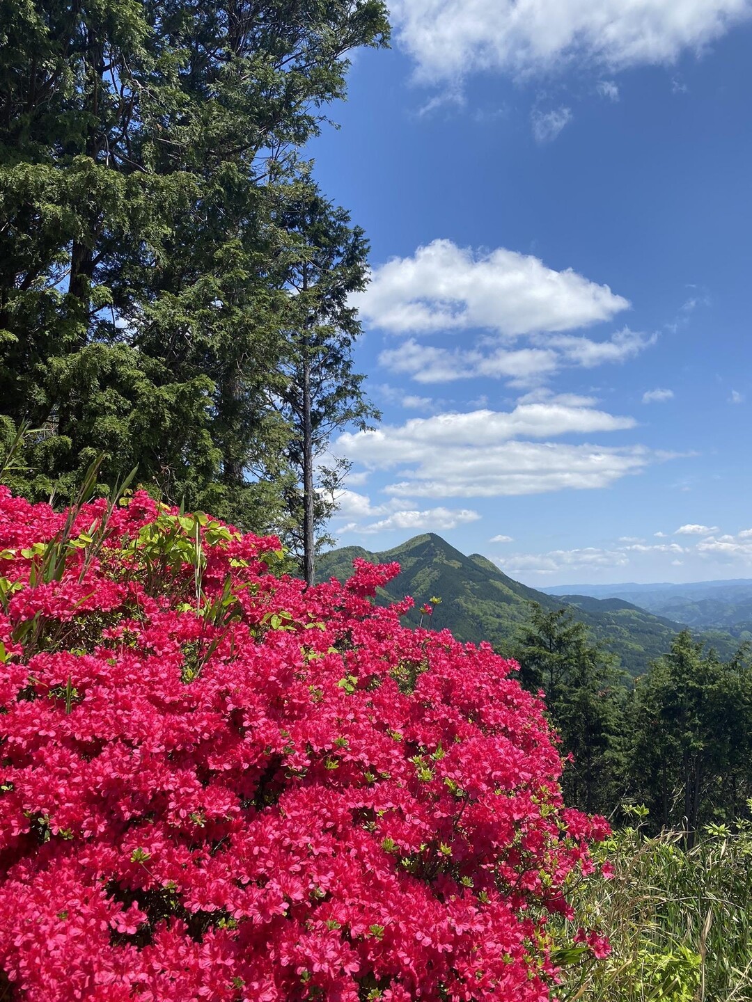 鳥見山 / NKさんの額井岳の活動データ | YAMAP / ヤマップ