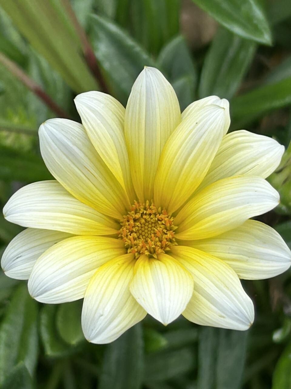 Chiekoのページ | YAMAP / ヤマップ