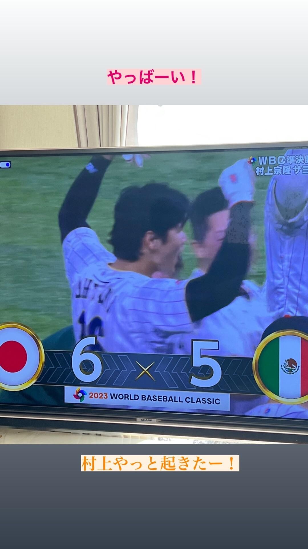 今日は長野遠征のお片付けしながら WBC... / Yurionkaさんのモーメント | YAMAP / ヤマップ