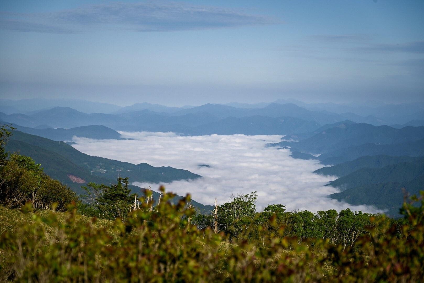 雲海独り占めの土佐矢筈山・小桧曽山 / いさな🔰さんの三方山の活動データ | YAMAP / ヤマップ