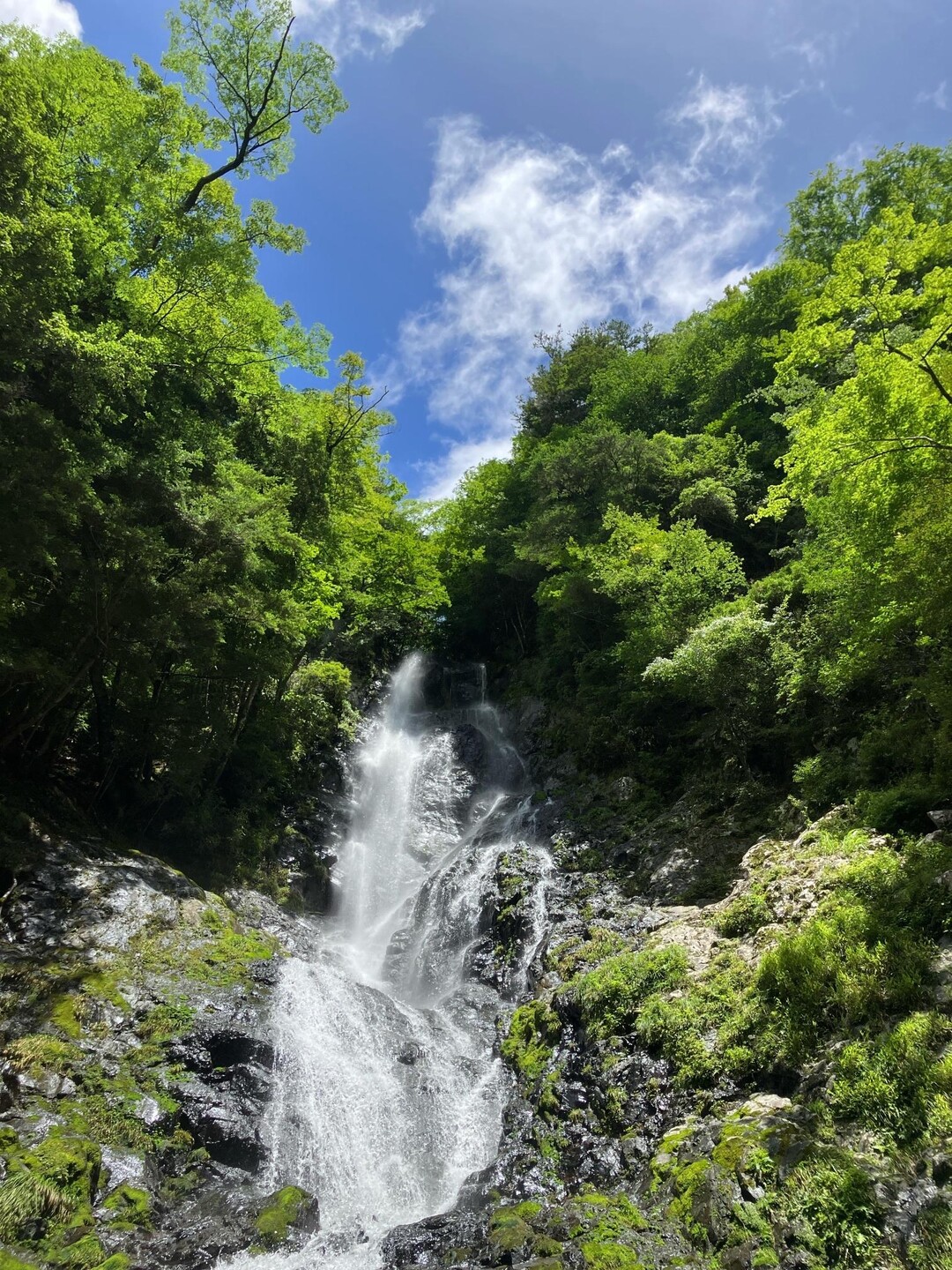 木浦山・水呑ノ頭・白岩山 / ORIBAさんの向坂山・三方山・天主山の活動データ | YAMAP / ヤマップ