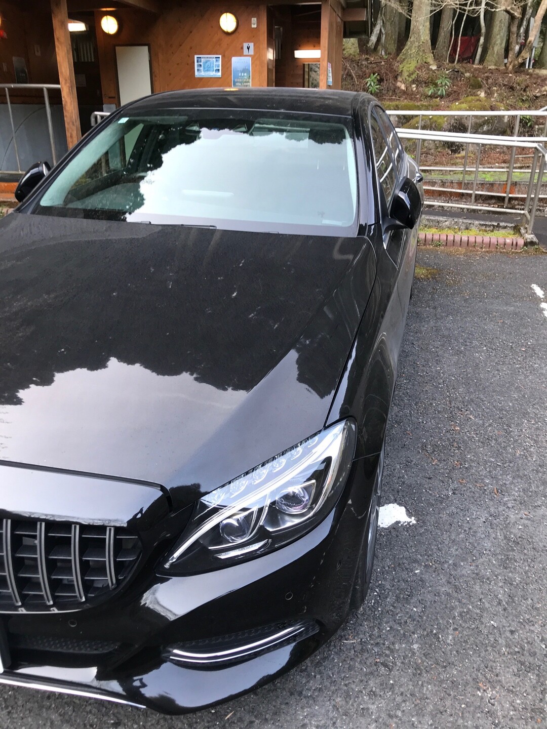 Meeyaさんの投稿したフィールドメモ | YAMAP / ヤマップ