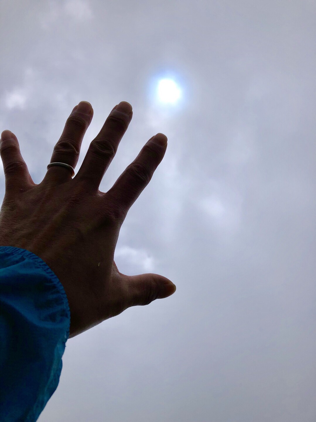 Come on the sun ! -2019-06-16 / Rincoさんの剣山の活動データ | YAMAP / ヤマップ