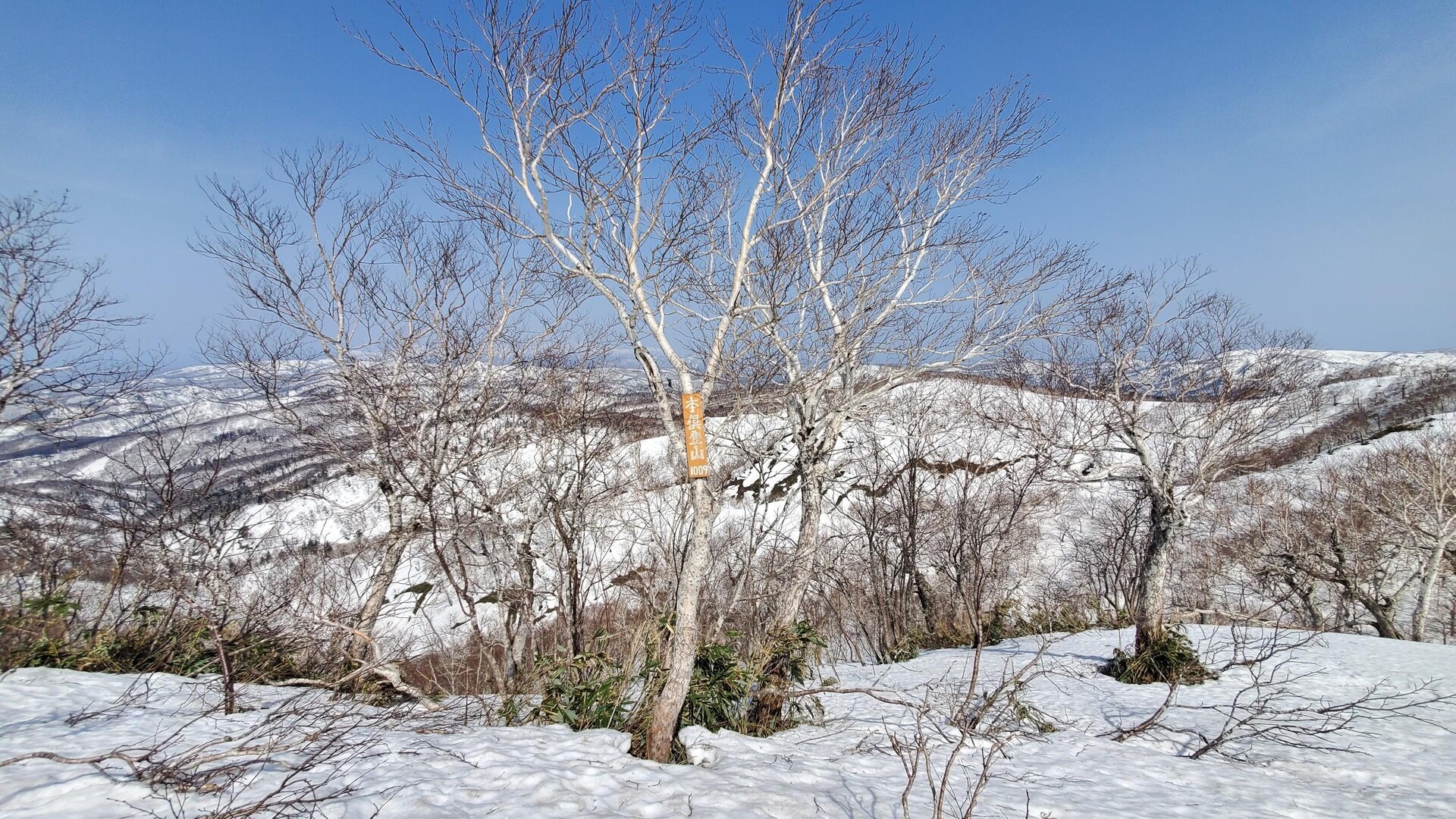 本倶登山 / agaさんの本倶登山の活動データ | YAMAP / ヤマップ
