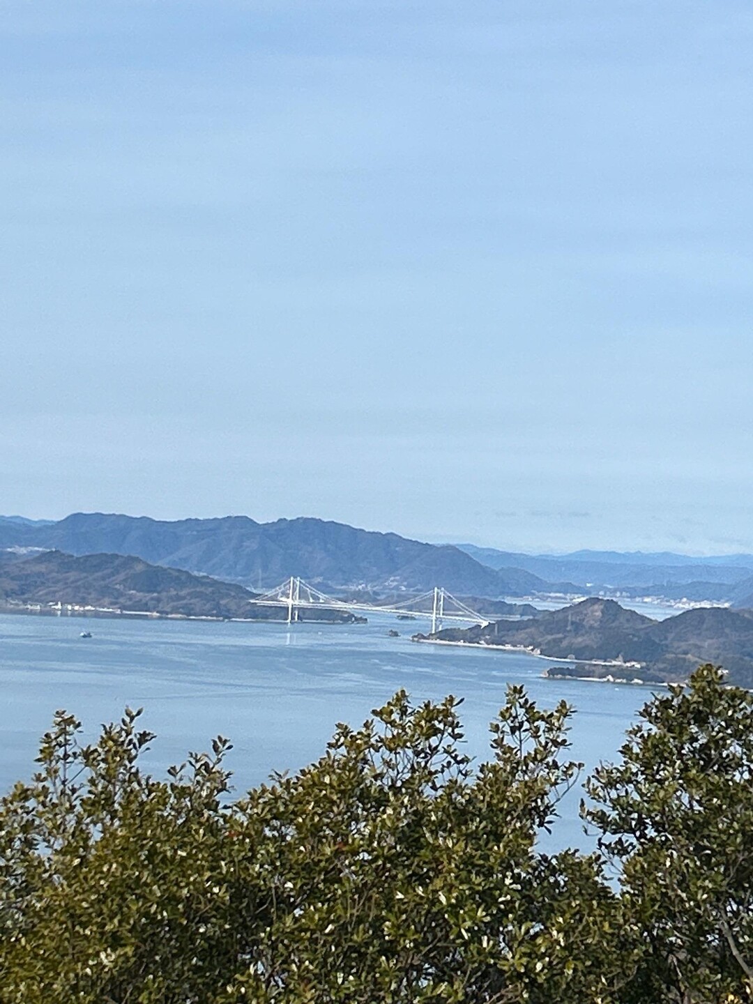 釜戸山・王城・鳶ガ巣山・切石山 / Kane-chanさんの鳶ガ巣山・王城の活動データ | YAMAP / ヤマップ
