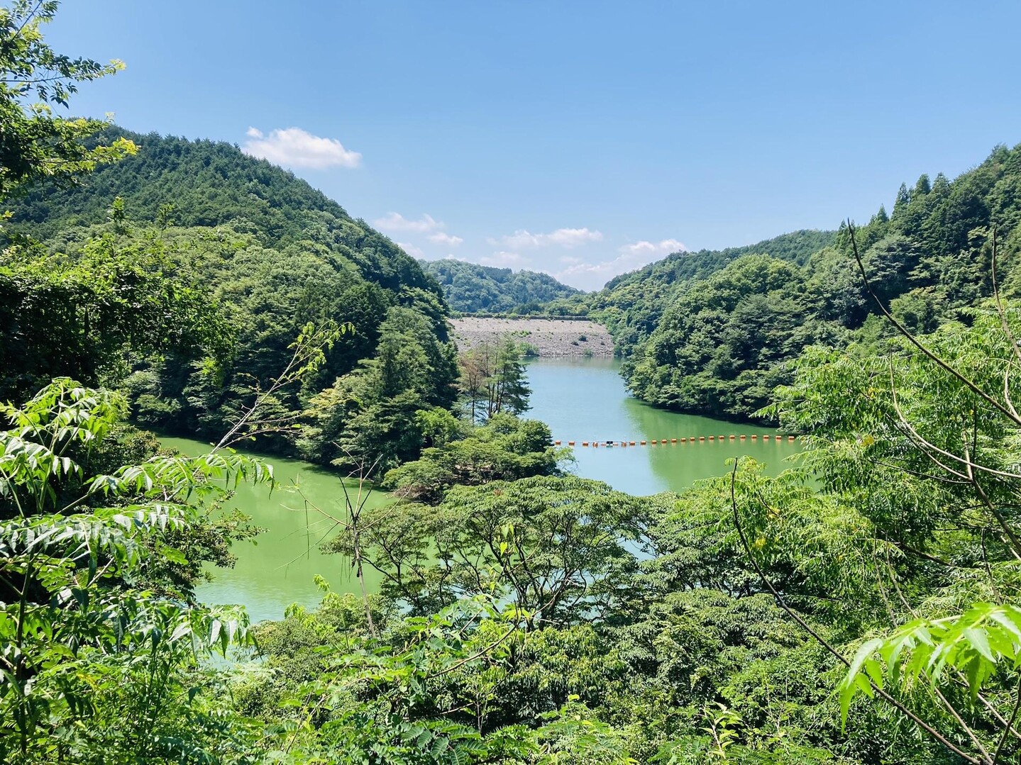 証如峰 / Kiyoさんの六個山・鉢伏山・明ヶ田尾山・五月山の活動データ | YAMAP / ヤマップ