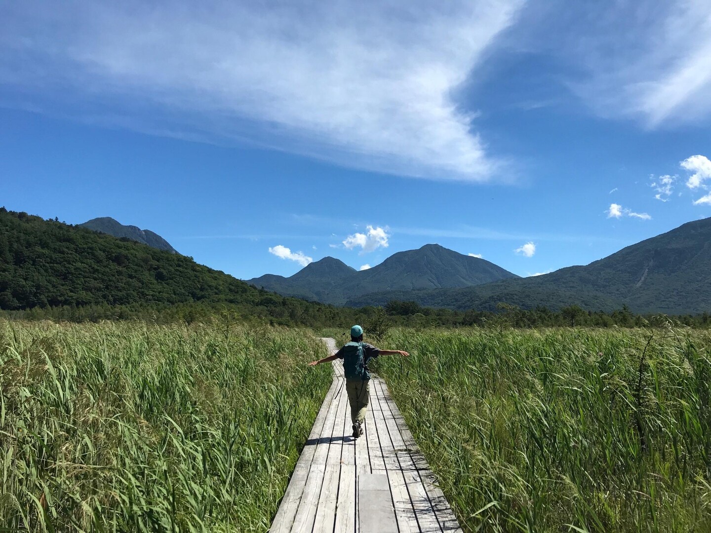 戦場ヶ原 / midoriさんの古賀志山・赤岩山・鞍掛山・男抱山・半蔵山の活動データ | YAMAP / ヤマップ