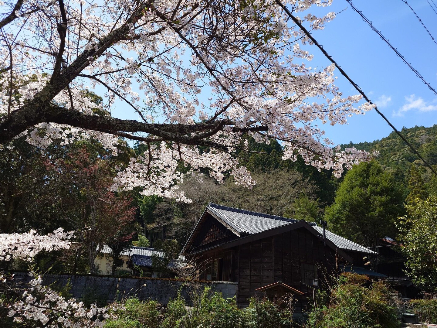 秋葉山 / isoさんの秋葉山の活動データ | YAMAP / ヤマップ