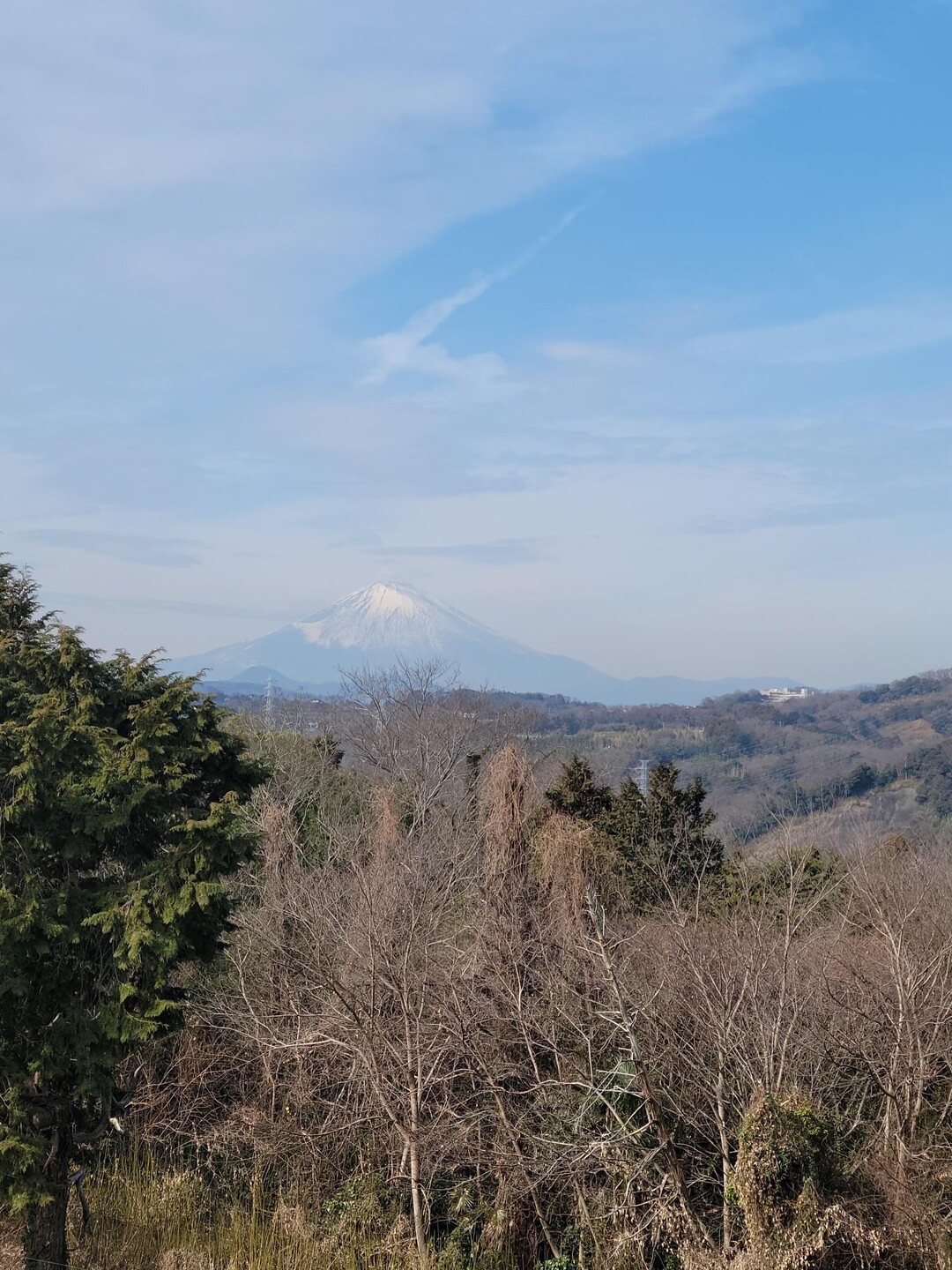またまた地元散策～ ️ 以前より気になっ... / kazuさんのモーメント | YAMAP / ヤマップ