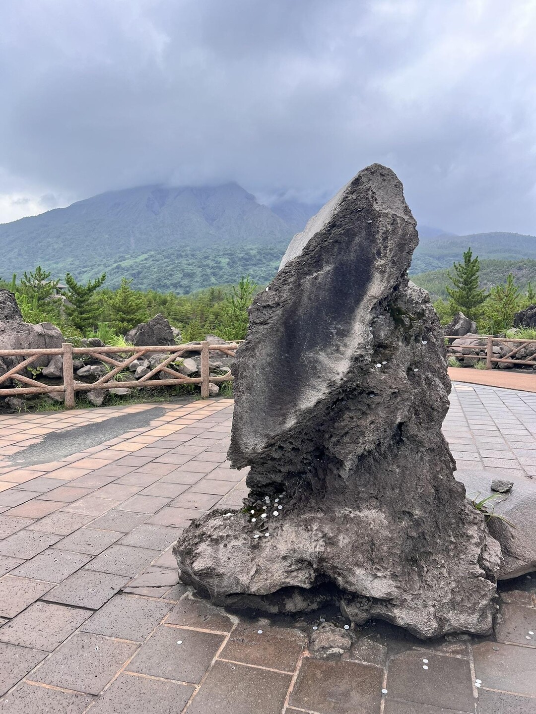 桜島かくれんぼのお知らせ💁🏼‍♀️ / luluさんのモーメント | YAMAP / ヤマップ