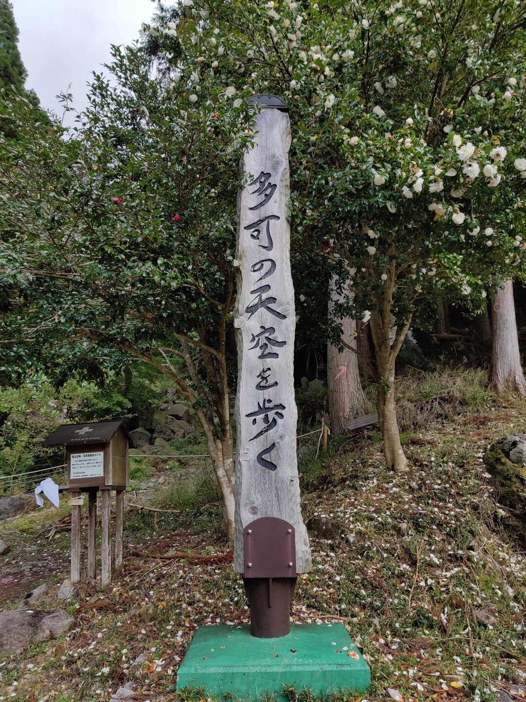 千ヶ峰-2019-11-04 / やまとたろうさんの千ヶ峰の活動データ | YAMAP / ヤマップ