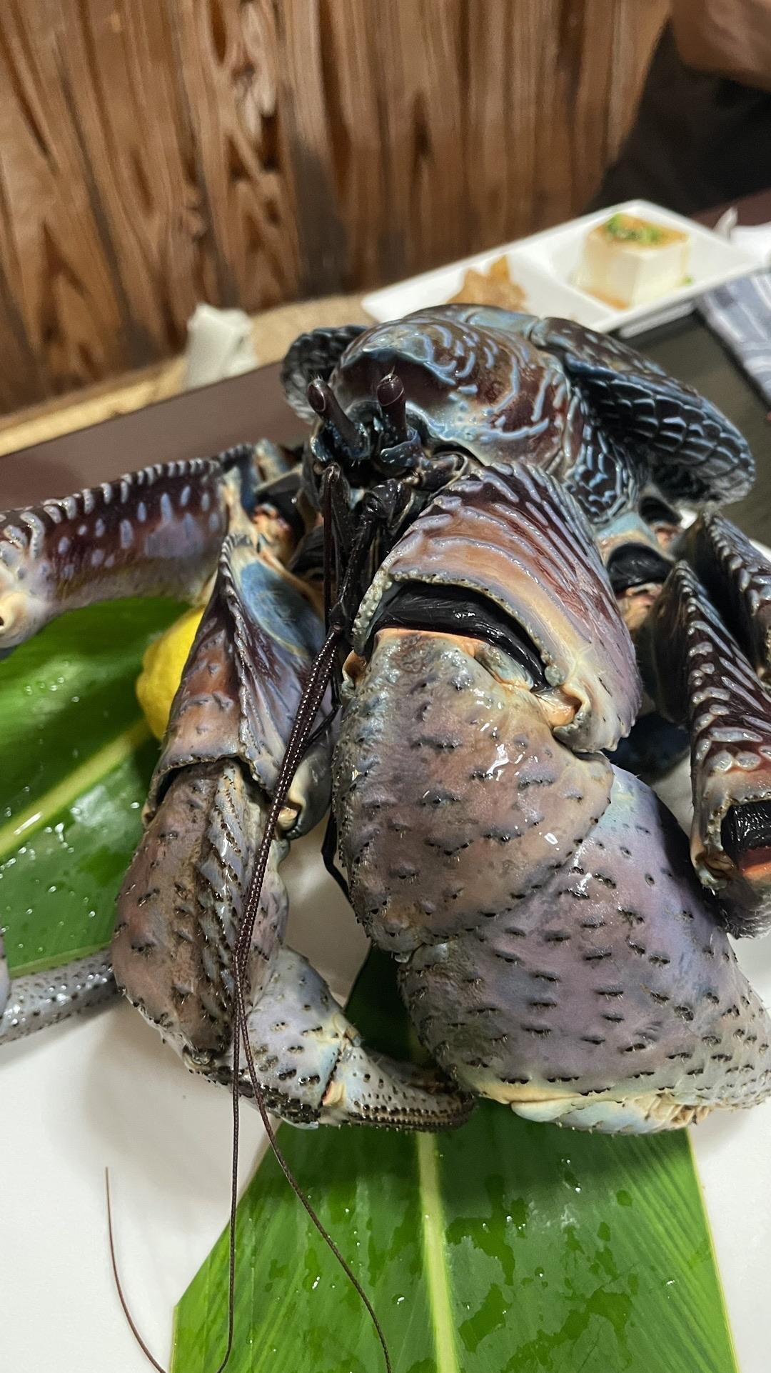 宮古島旅行 羽田にてメルセデス・ベンツで... / mai.さんのモーメント | YAMAP / ヤマップ