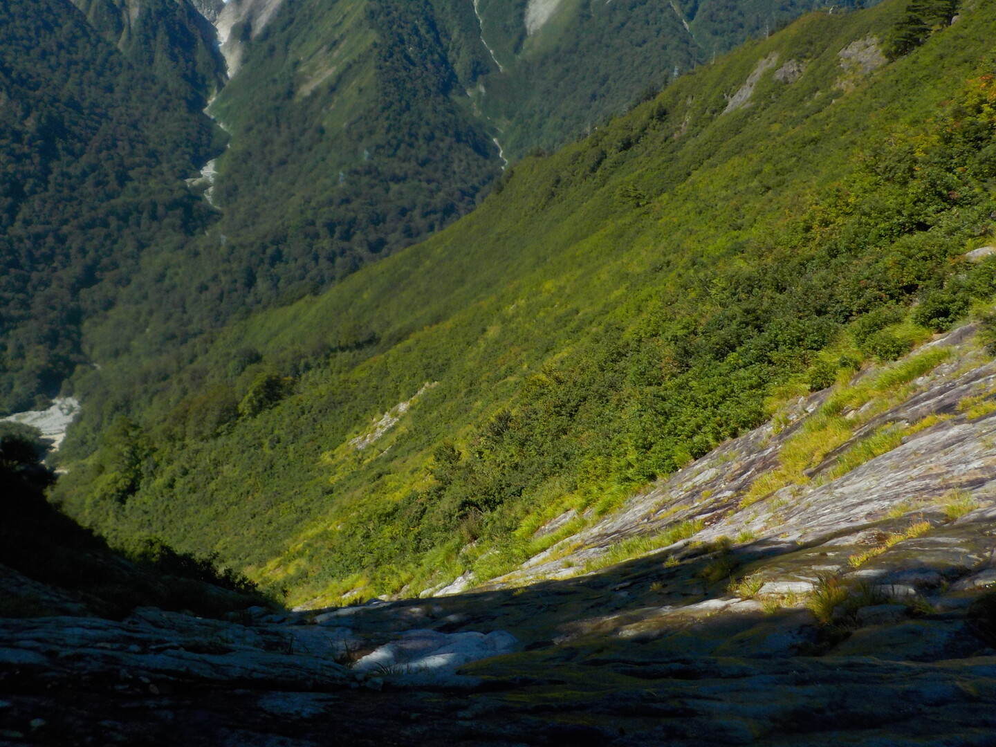 湯檜曽川 ゼニイレ沢 / Mt.yuさんの谷川岳・七ツ小屋山・大源太山の活動データ | YAMAP / ヤマップ