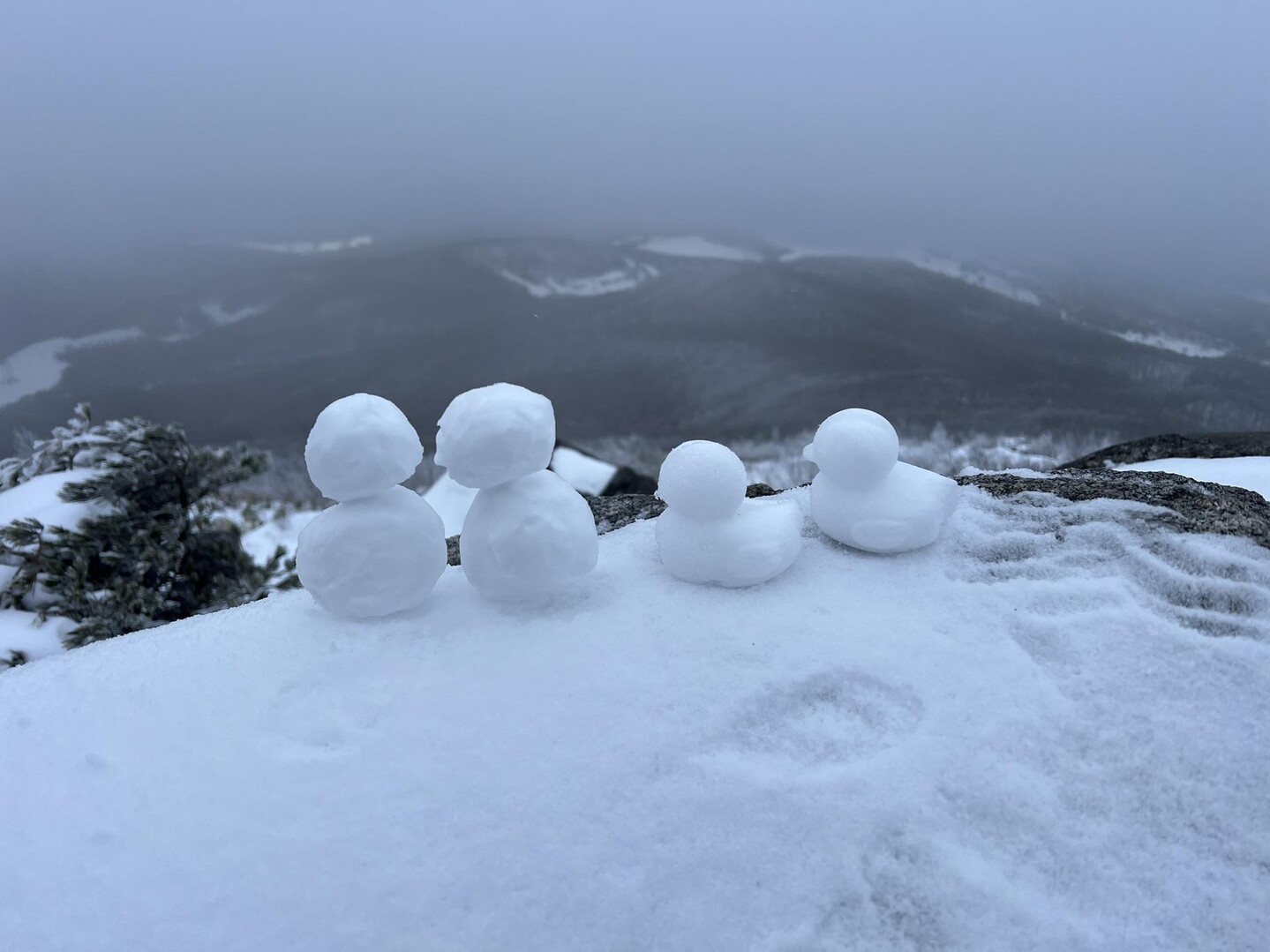 姫神山 2024年山行初め / Fisherマンさんの姫神山の活動データ | YAMAP / ヤマップ
