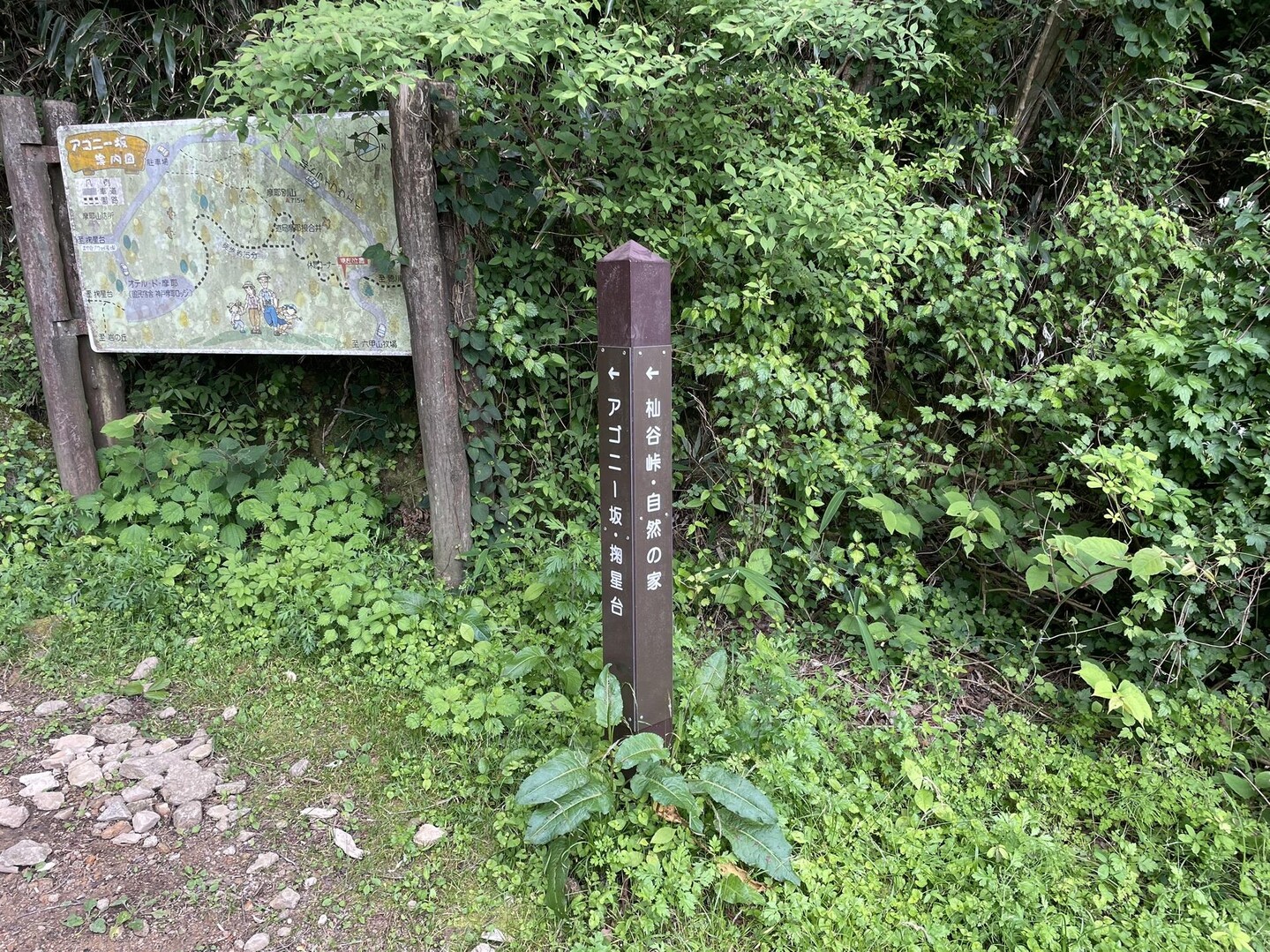 tsk-chaponさんの投稿したフィールドメモ | YAMAP / ヤマップ