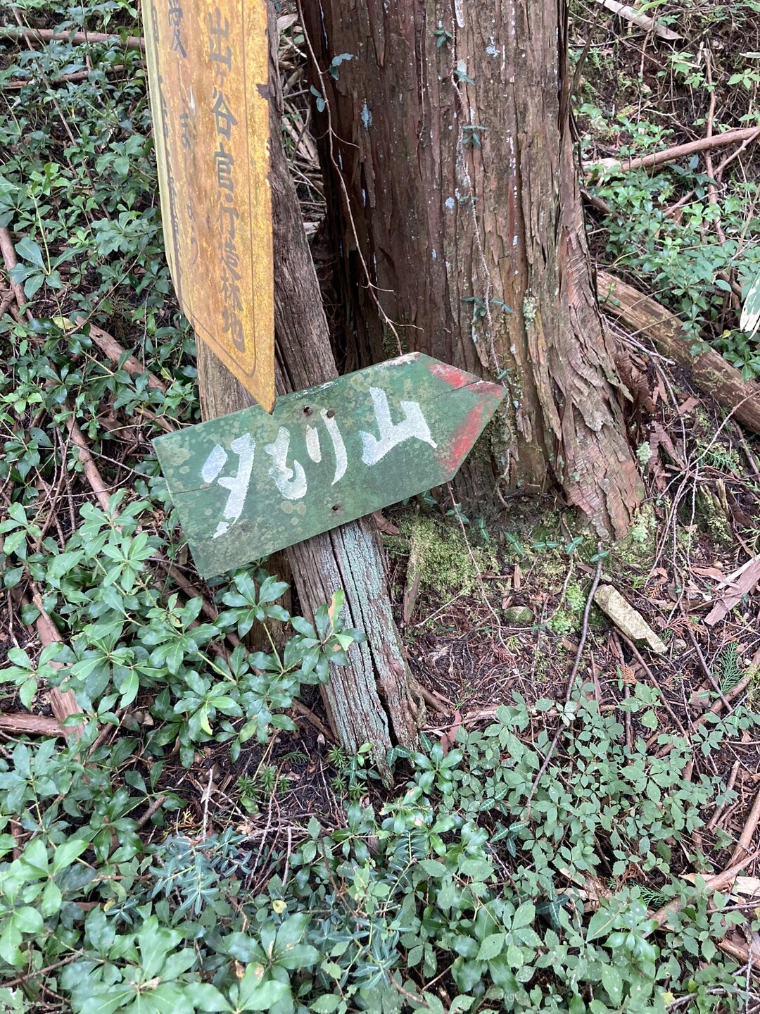 蛭も人もいない「夕もり山」 / ATSUSHI-abbさんの奥三界岳・夕森山の活動データ | YAMAP / ヤマップ