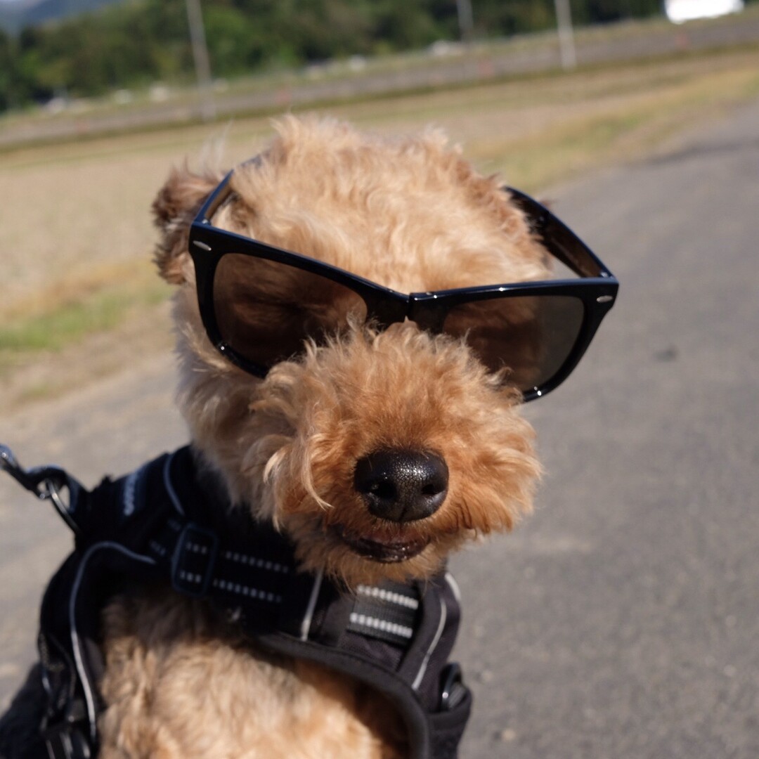 Yumaのページ | YAMAP / ヤマップ