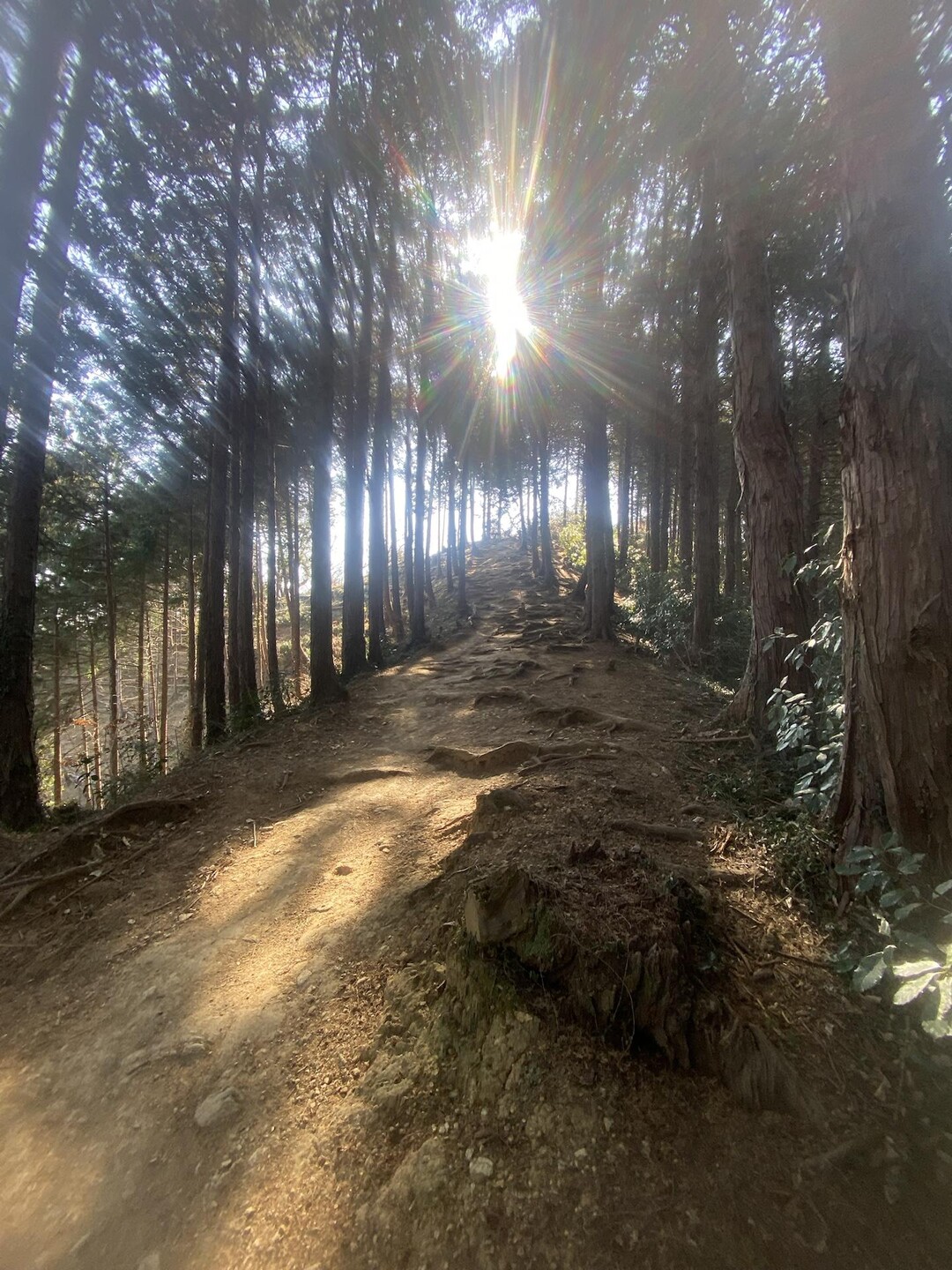 草戸山 / yo-skさんの高尾山・陣馬山・景信山の活動データ | YAMAP / ヤマップ