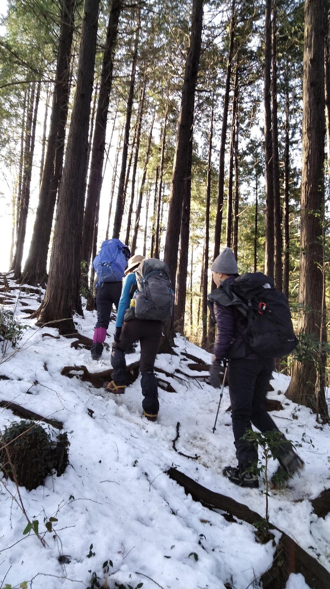 高尾山セブンサミット16.3km💗ルート縦走 ️スノーハイク満キツっ😅 / ノリッピさんの高尾山・陣馬山・景信山の活動データ | YAMAP / ヤマップ