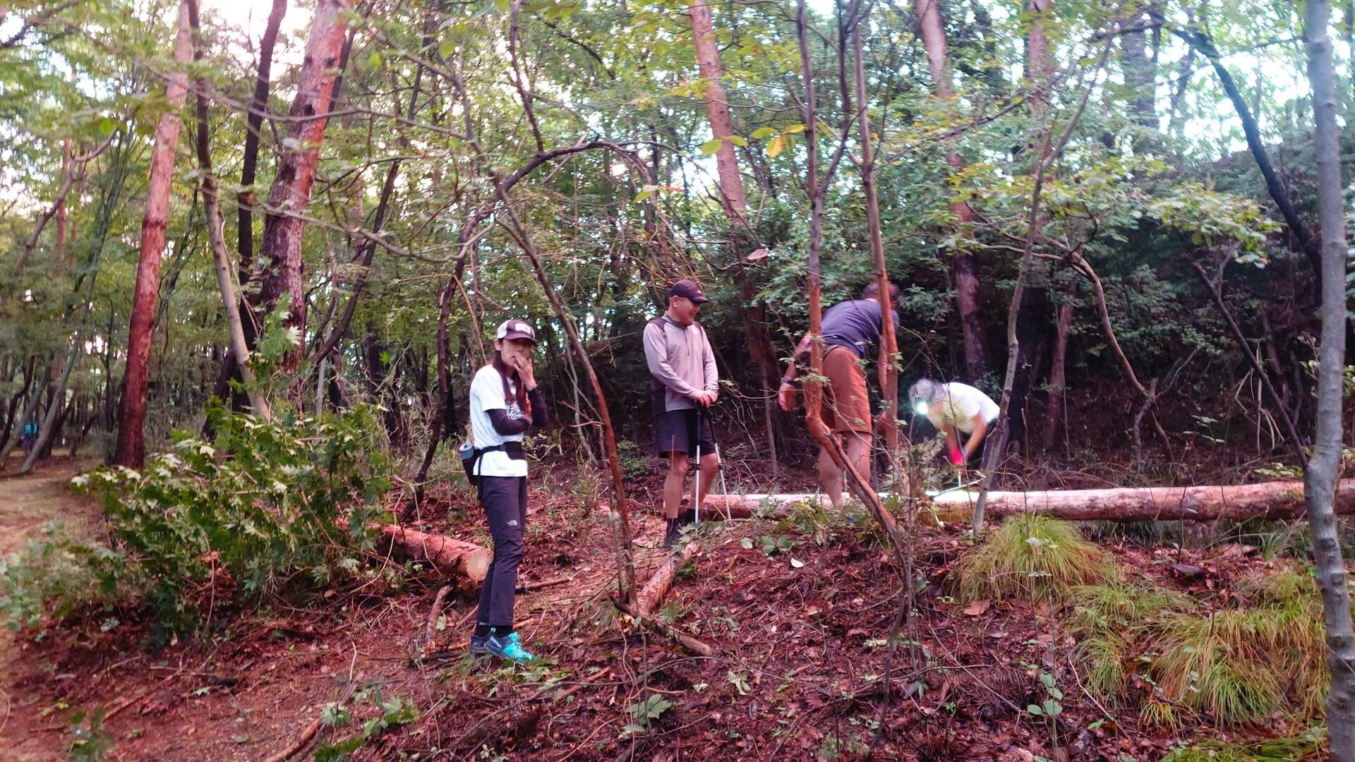 倒木撤去な朝 33分登頂 / ta2さんの鳴神山・吾妻山の活動日記 | YAMAP / ヤマップ