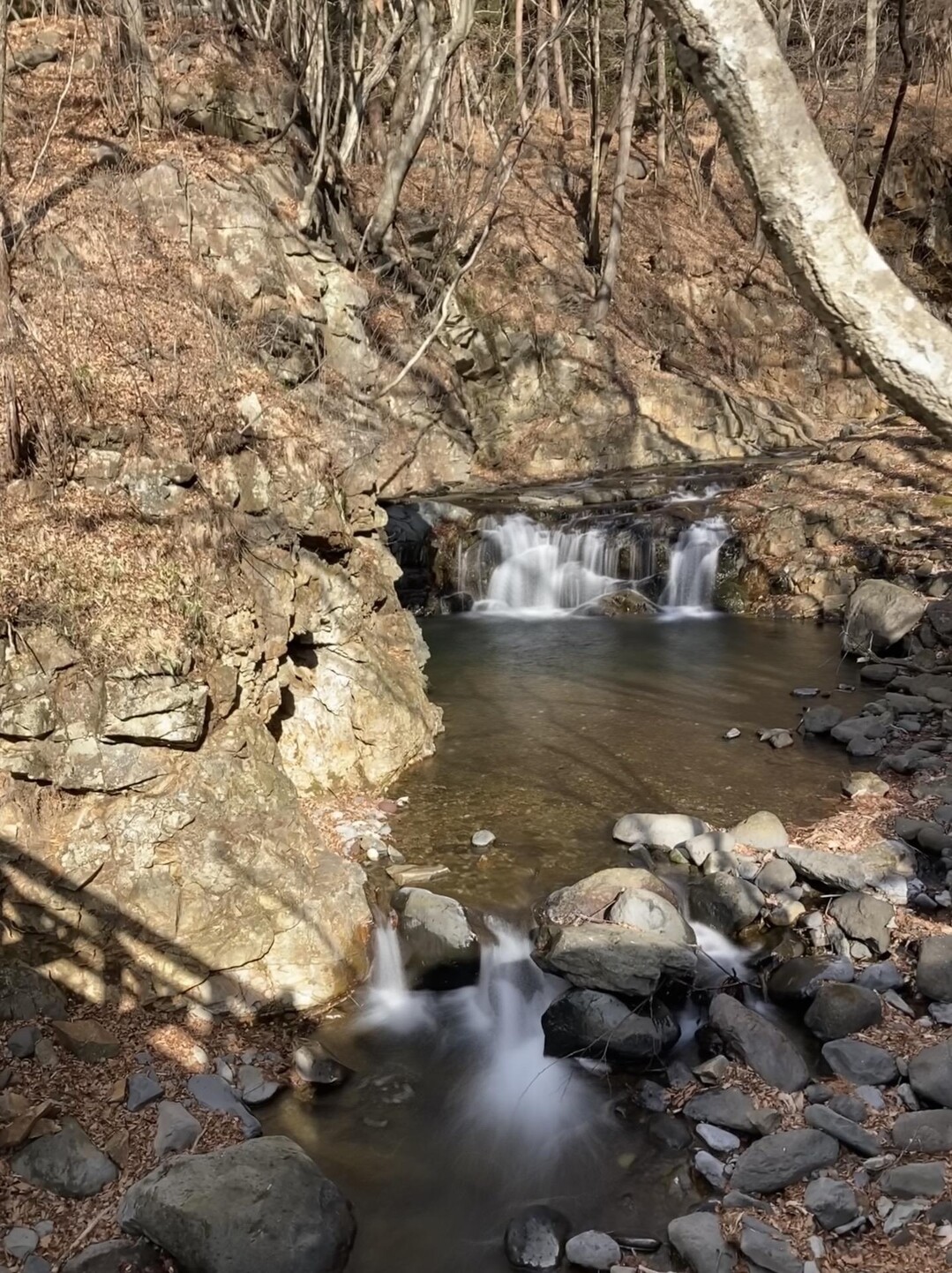 Ryuokyo, Nikko, Tochigi (龍王峡、日光市、栃木県) / ourmaninjapanさんのウォーキングの活動日記 | YAMAP / ヤマップ