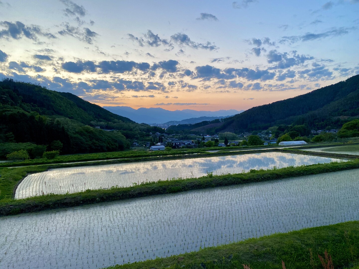 我が家のあたりでも田植えが始まった。 昨... / COOBAさんのモーメント | YAMAP / ヤマップ
