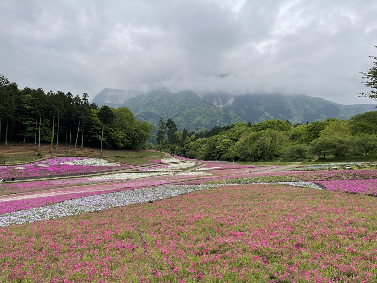 雨降る前に日課の散歩 / お父さんさんのモーメント | YAMAP / ヤマップ