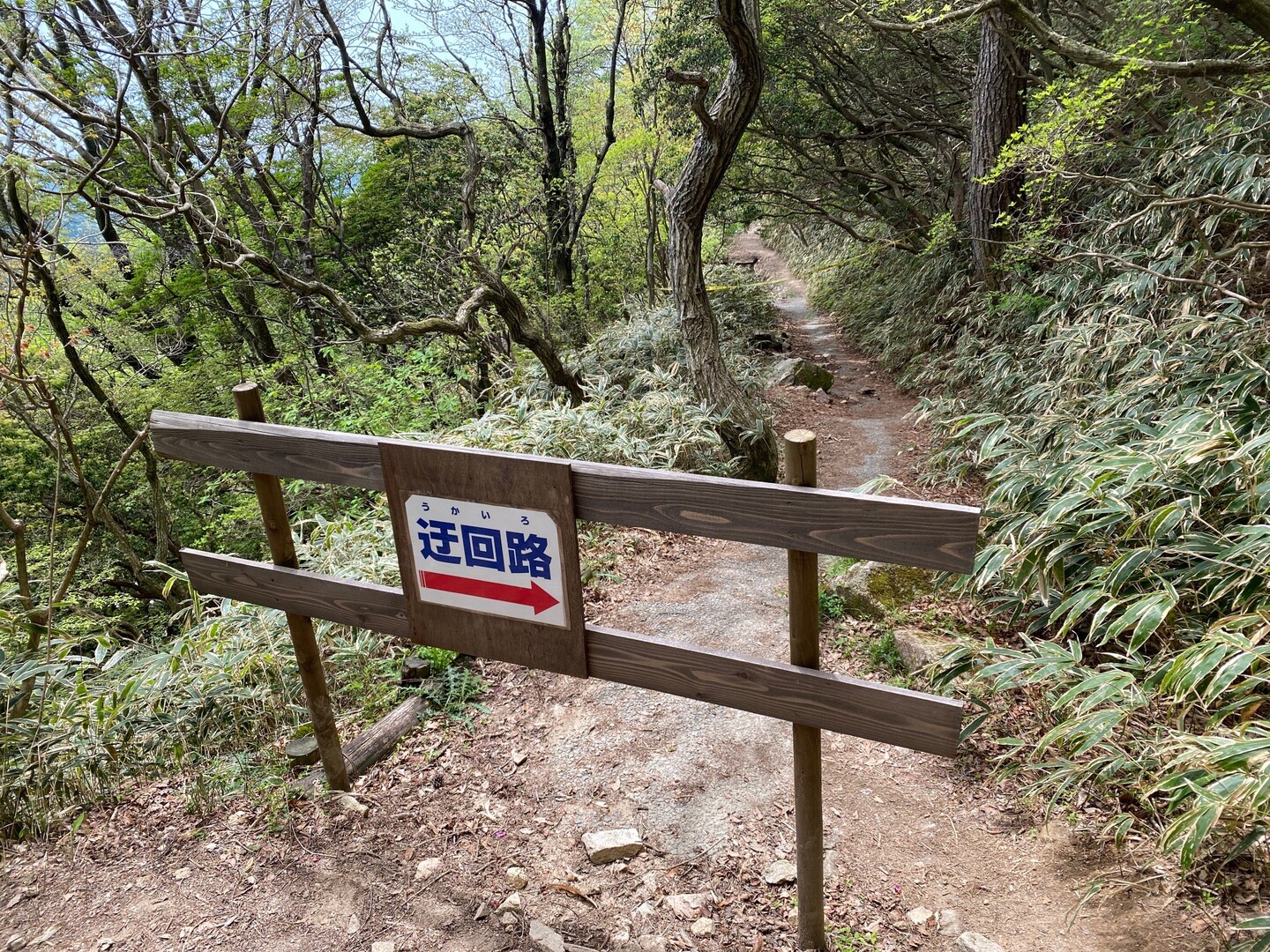 masa7887さんの投稿したフィールドメモ | YAMAP / ヤマップ