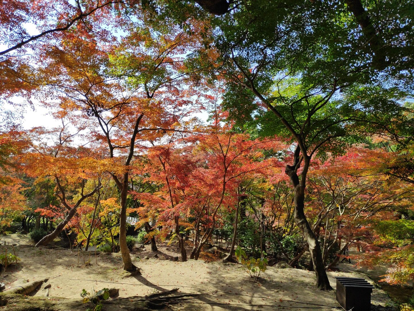 一年ぶりの宝満山！ / すぱろうさんの宝満山・三郡山・若杉山の活動データ | YAMAP / ヤマップ