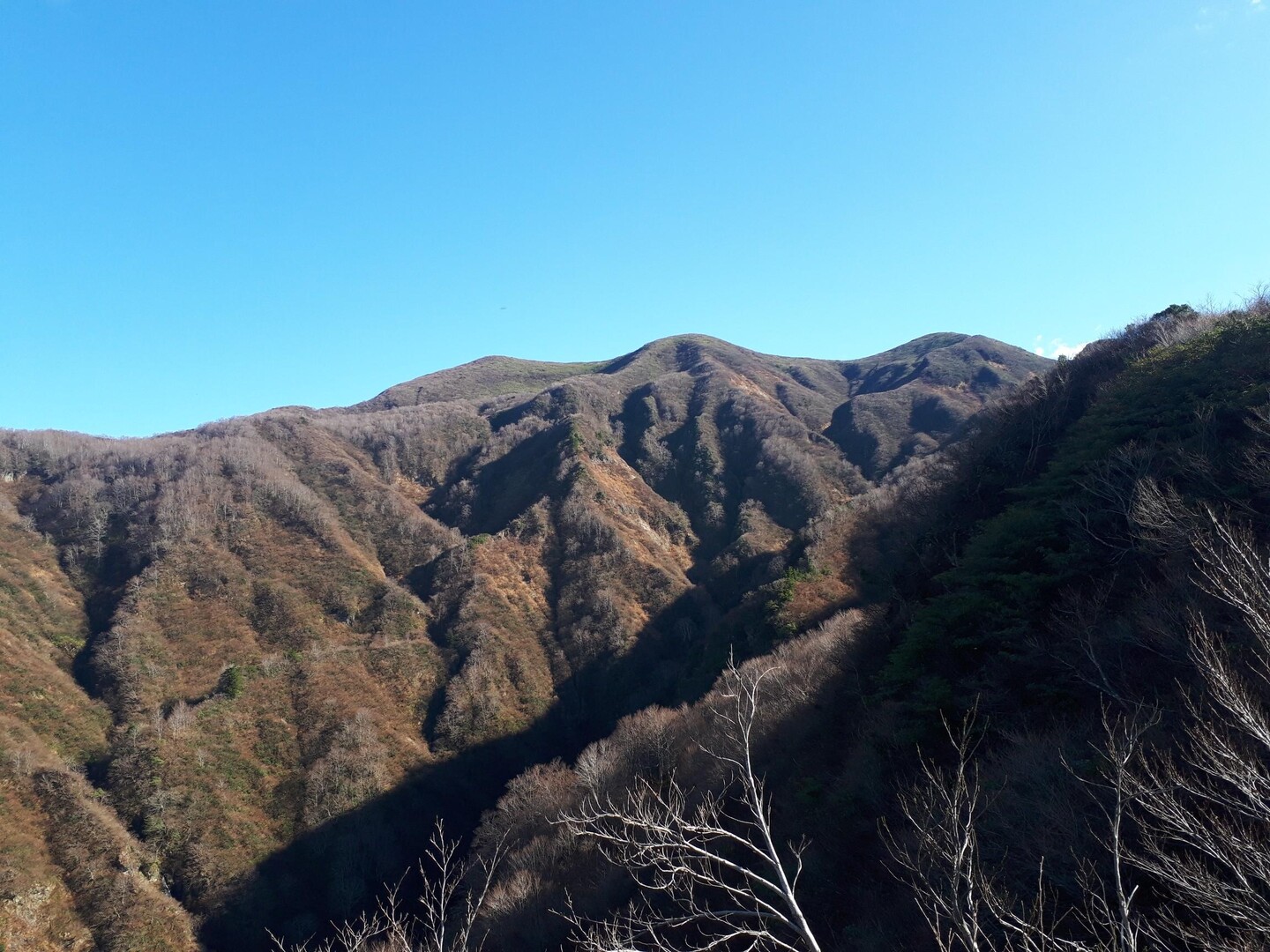 粟ヶ岳 / DKさんの粟ヶ岳・權ノ神岳・宝蔵山の活動データ | YAMAP / ヤマップ