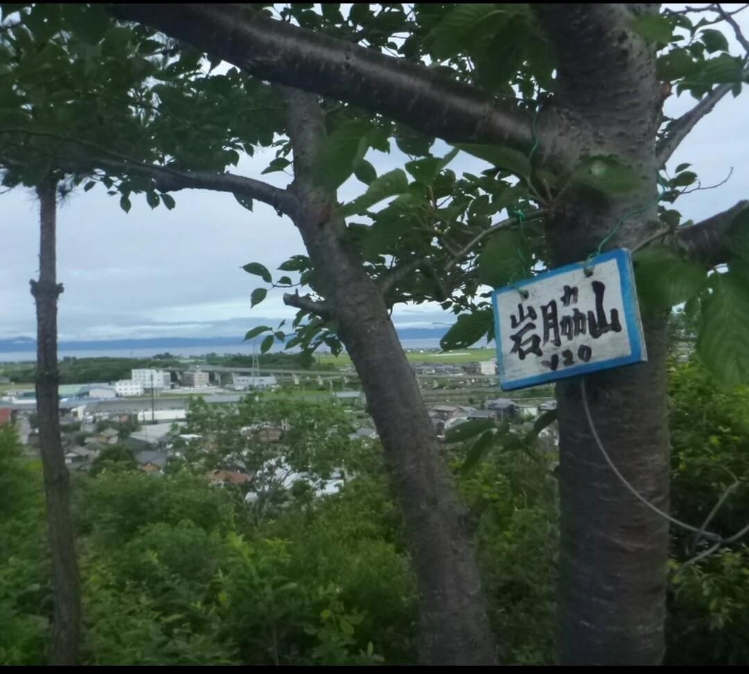 岩脇山プレート発見 ・他 / Mt.OKA🎃さんの太尾山・岩脇山の活動データ | YAMAP / ヤマップ