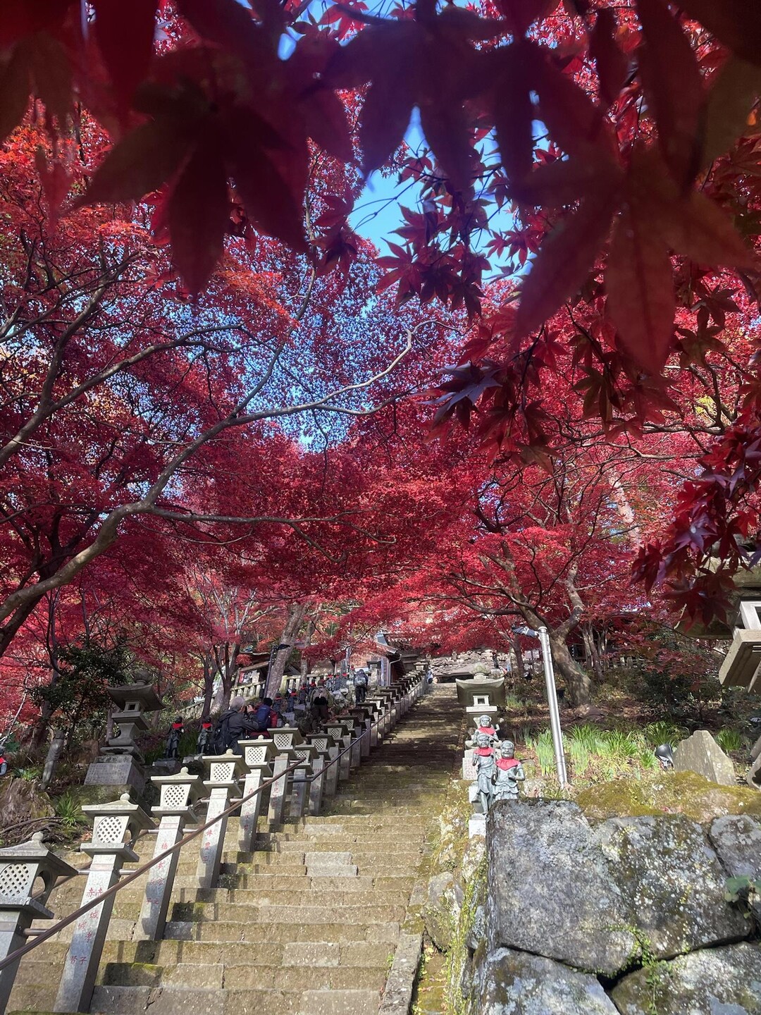 真っ赤な大山 / 一美1103さんの大山の活動データ | YAMAP / ヤマップ