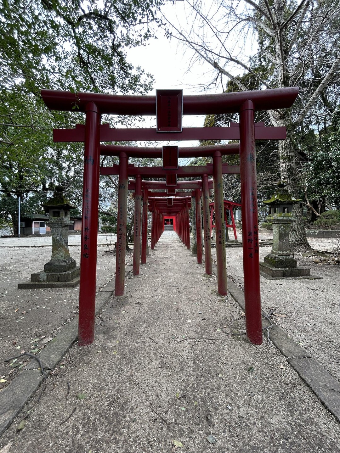 桜ヶ岡 佐賀県で1番☝️低い山（🩶） / pu_ka夫さんの天山の活動データ | YAMAP / ヤマップ