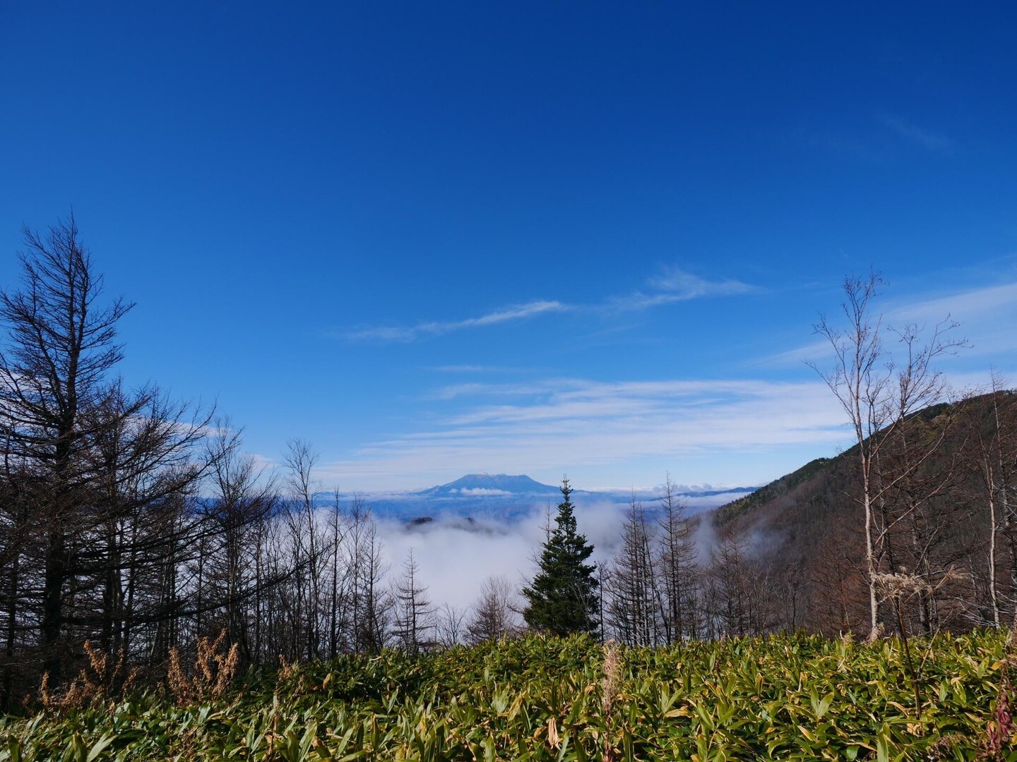 大泉山・経ヶ岳 / wakaさんの経ヶ岳・坊主岳の活動データ | YAMAP / ヤマップ