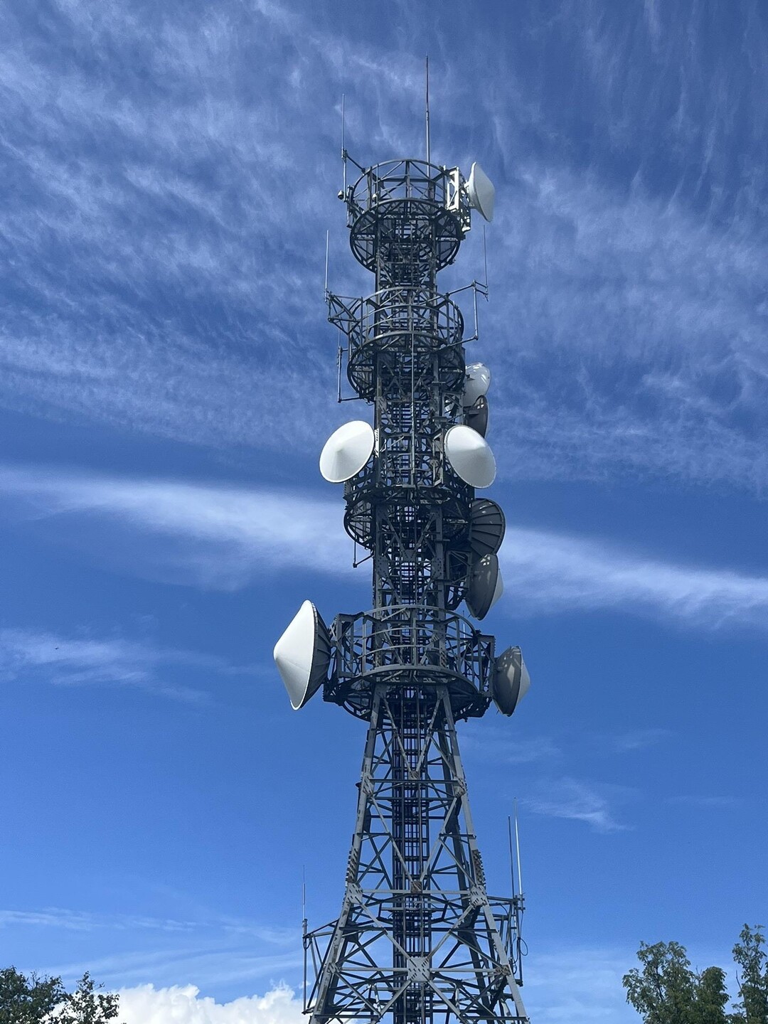 藻岩山・2024.8.28慈恵会コースからスキー場コースモイ2 / mappyさんの藻岩山の活動データ | YAMAP / ヤマップ