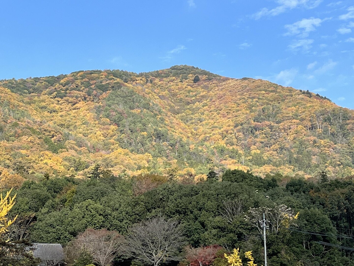 白木山 / Az-Tora-Macさんの白木山・高松山・鬼ヶ城山の活動データ | YAMAP / ヤマップ