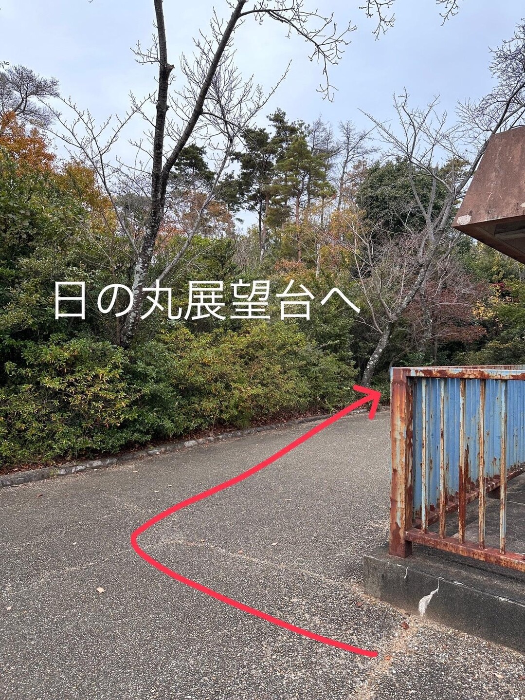 ERlii*さんの投稿したフィールドメモ | YAMAP / ヤマップ