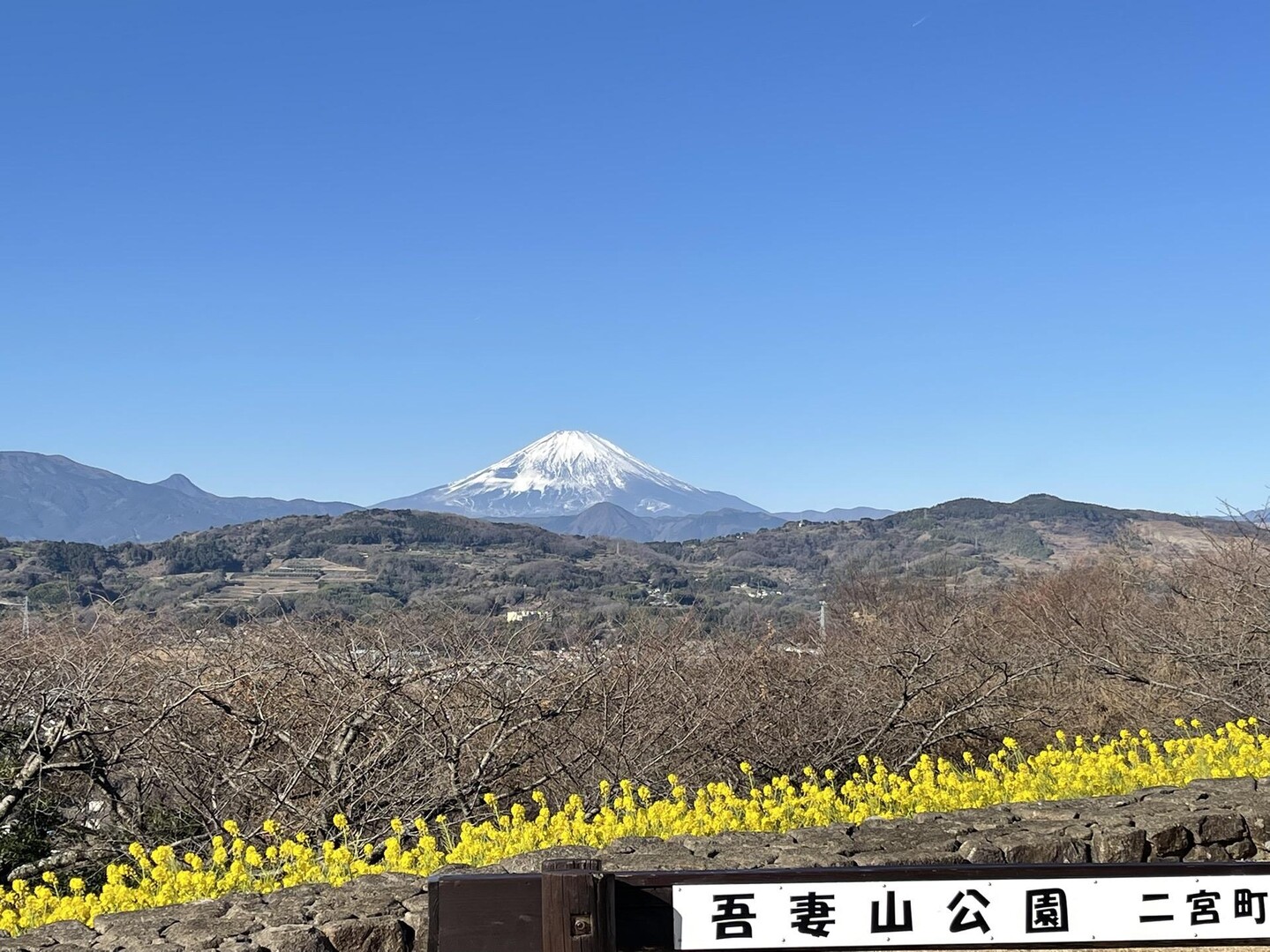 ウォーキング-2024-01-14 / piroさんのウォーキングの活動データ | YAMAP / ヤマップ