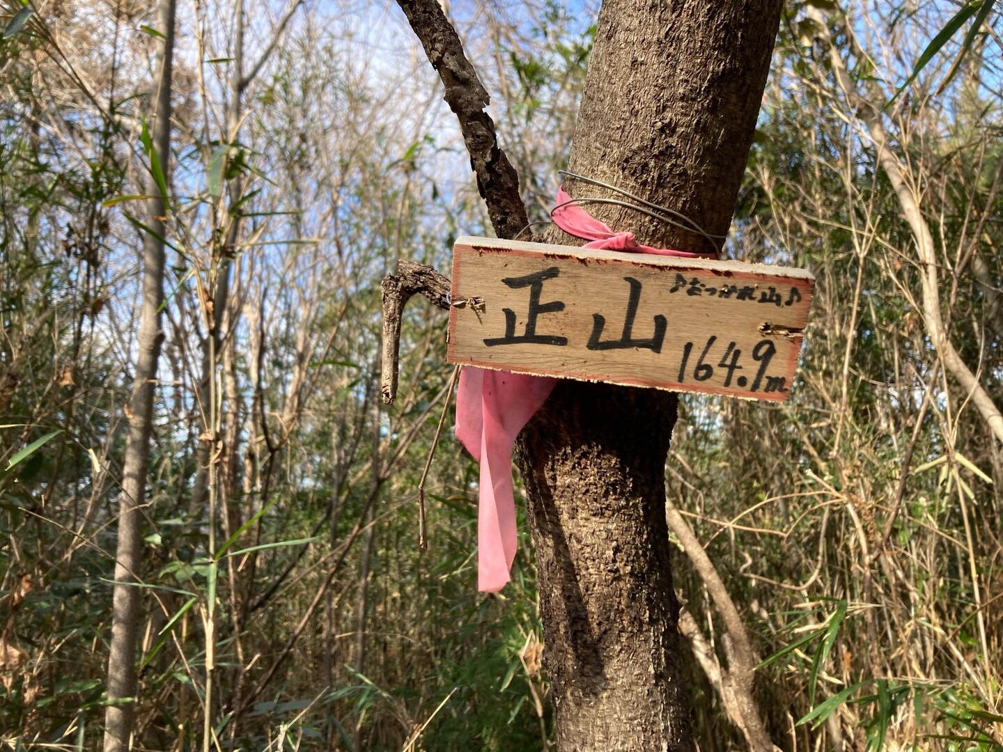 「仙元山#231-正山」ピストン🏃‍♂️ / taoさんの武蔵嵐山・大平山・仙元山の活動データ | YAMAP / ヤマップ