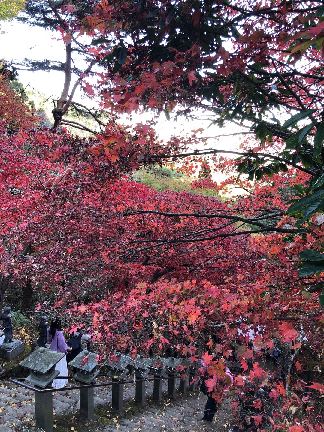 大山 / konyan さんの大山の活動データ | YAMAP / ヤマップ