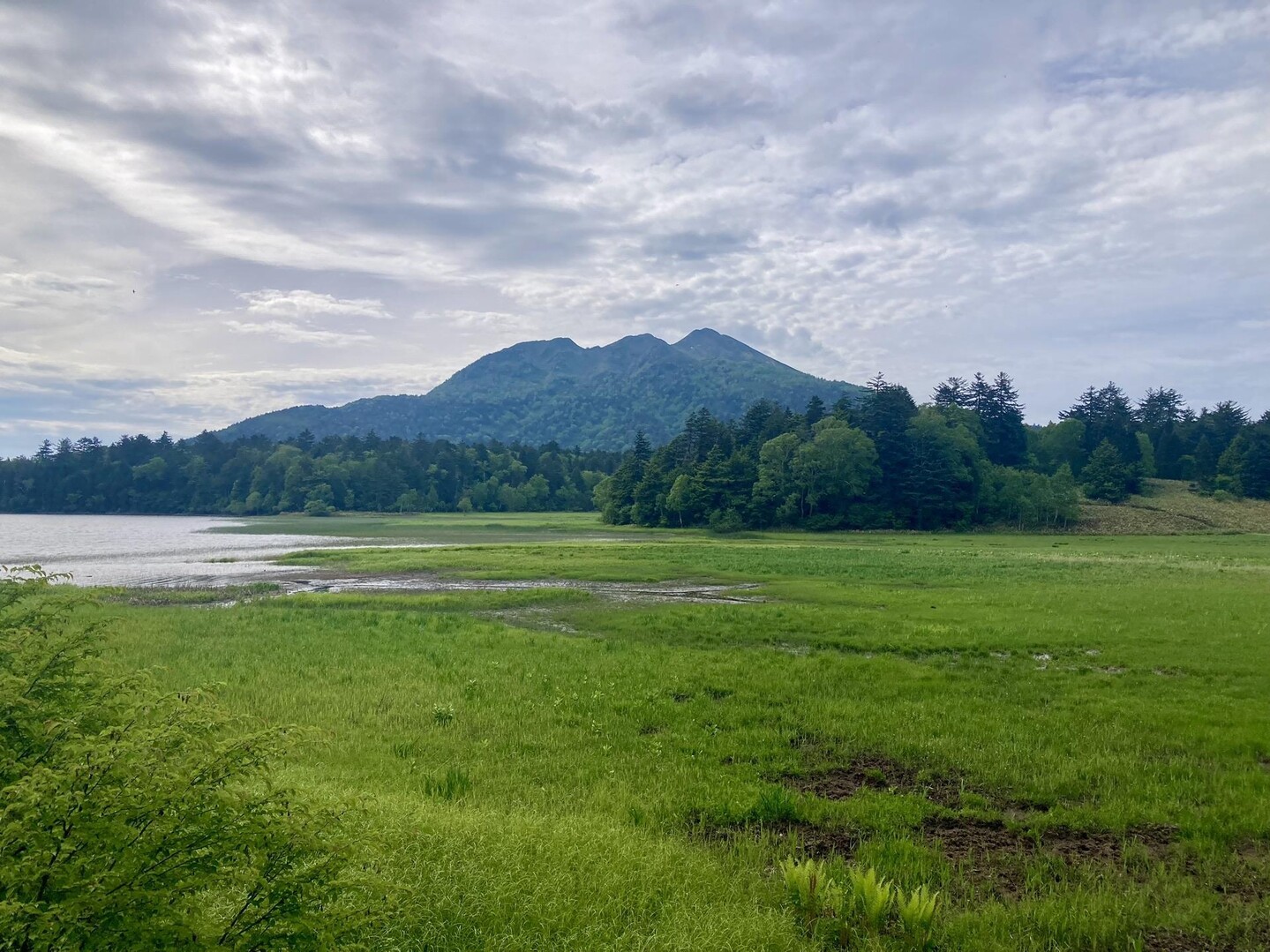 尾瀬沼散策 / cyさんの尾瀬・燧ヶ岳の活動データ | YAMAP / ヤマップ