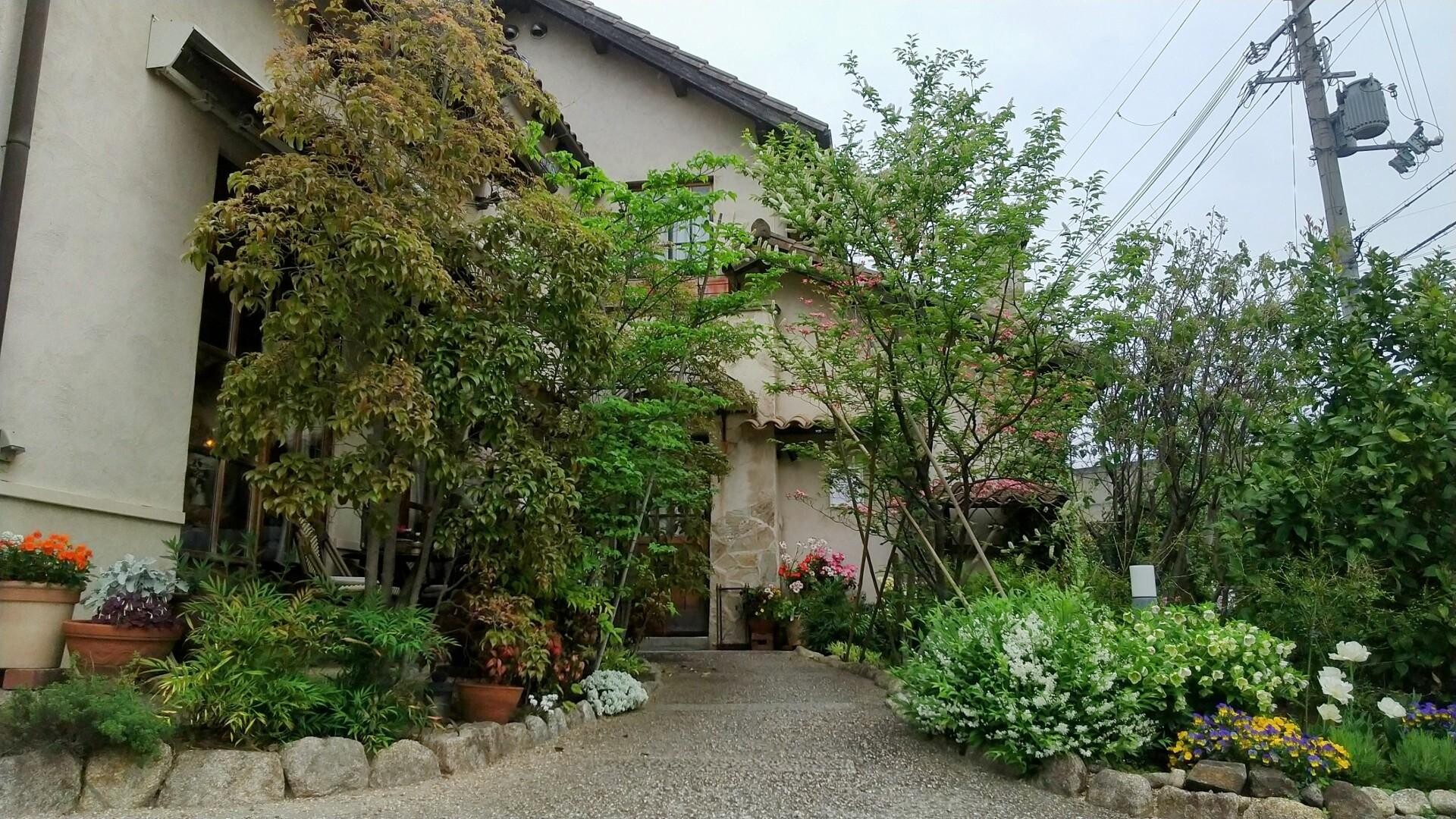 2024年4月21日(日) 今日は少し... / paoさんのモーメント | YAMAP / ヤマップ