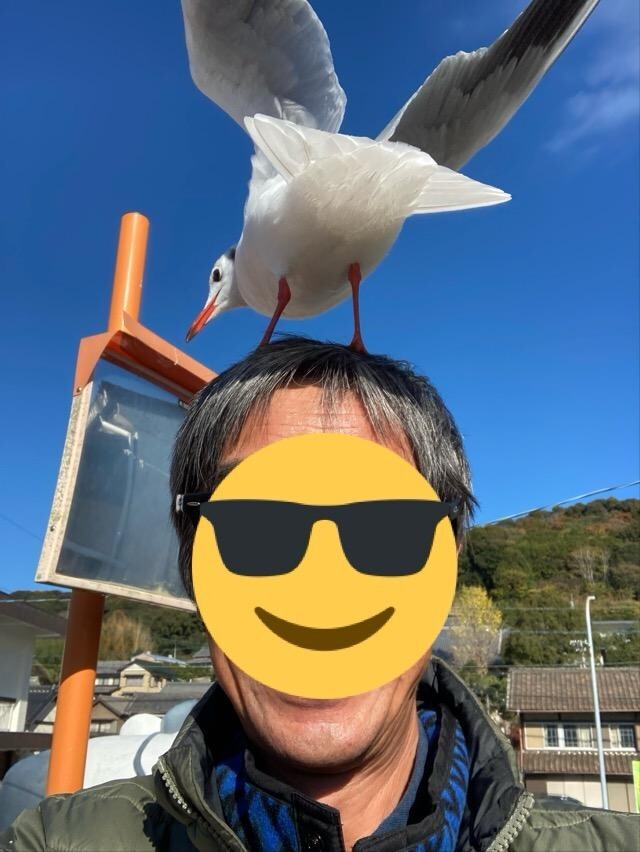 カモメを頭に乗せると皆んな笑顔になれます... / Genさんさんのモーメント | YAMAP / ヤマップ