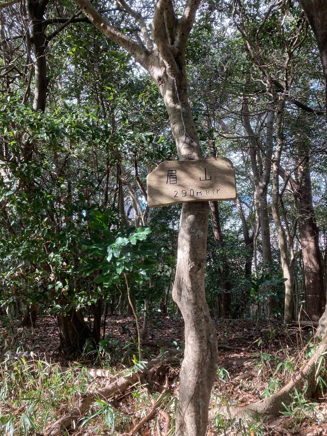 お一人様トレッキングpart2 / 遊爺さんさんの眉山の活動データ | YAMAP / ヤマップ